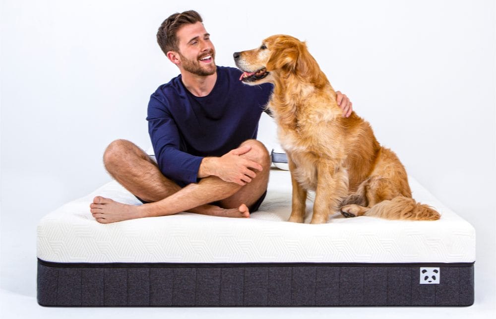 Panda Hybrid Mattress Pro Review 2026 | Sleep Goodness